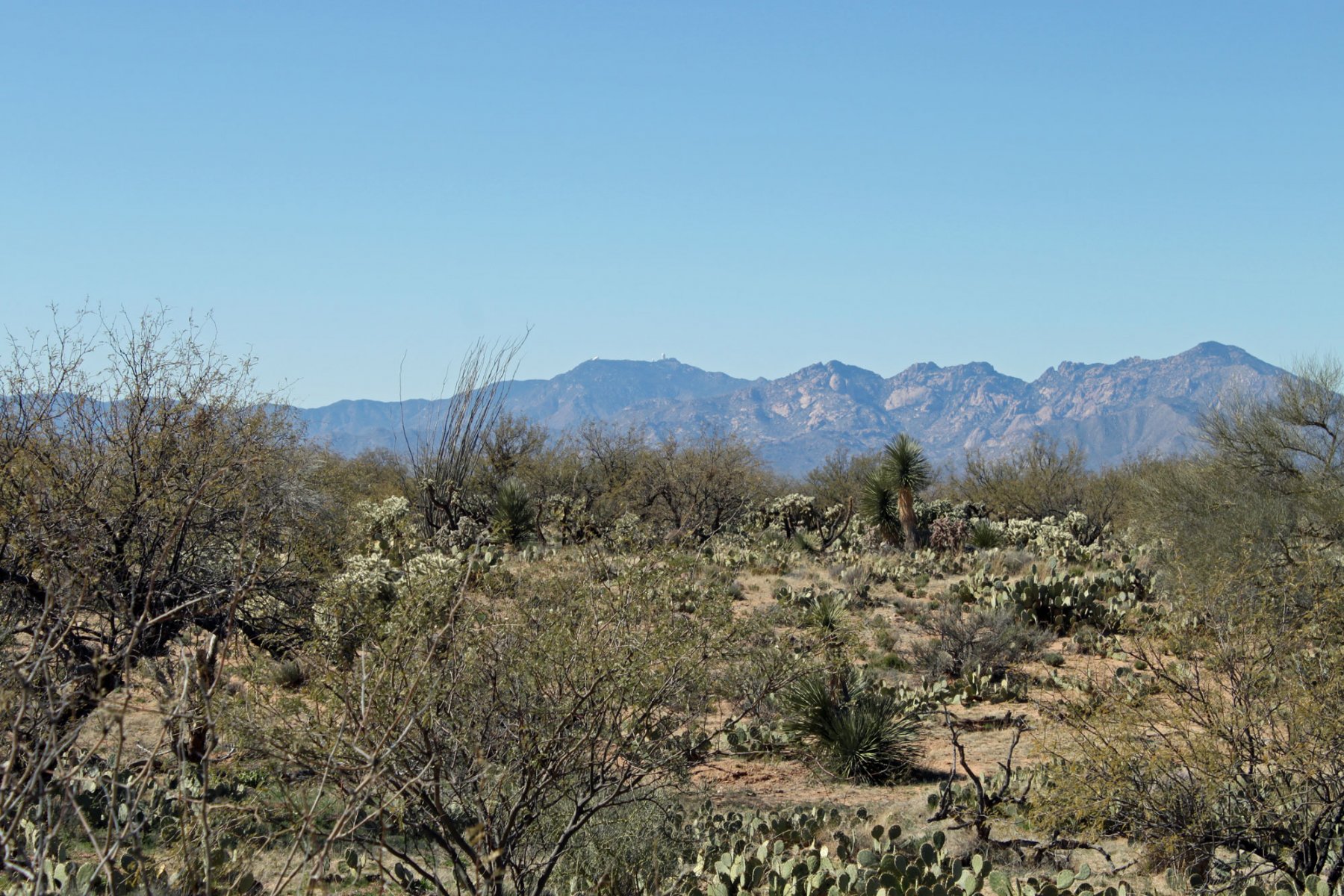 We Buy Land in Diamond Bell Ranch | Sell Tucson Land Fast