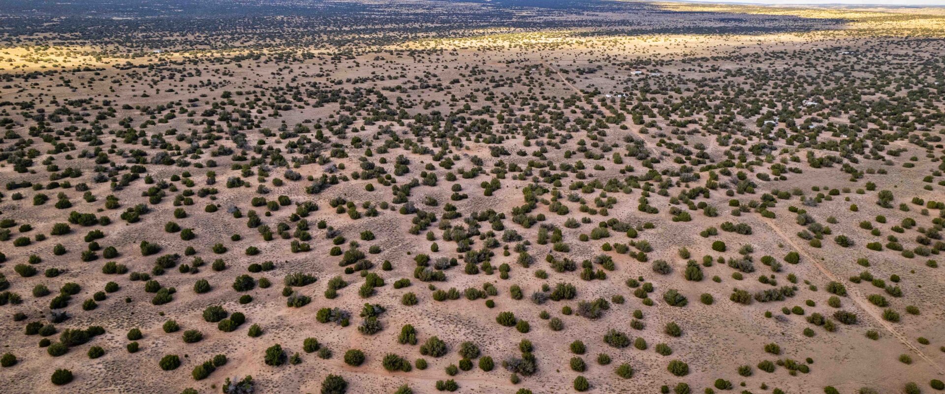 20 Acres of Wide-Open Space in Northeast Arizona - 0448 | SouthWest ...