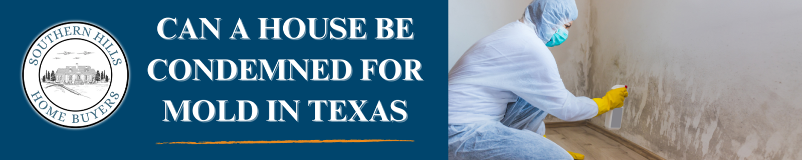 Can A House Be Condemned For Mold In Texas? Understanding Texas Mold ...