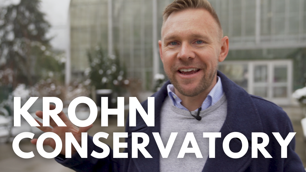 Step Inside a Tropical Paradise at Krohn Conservatory