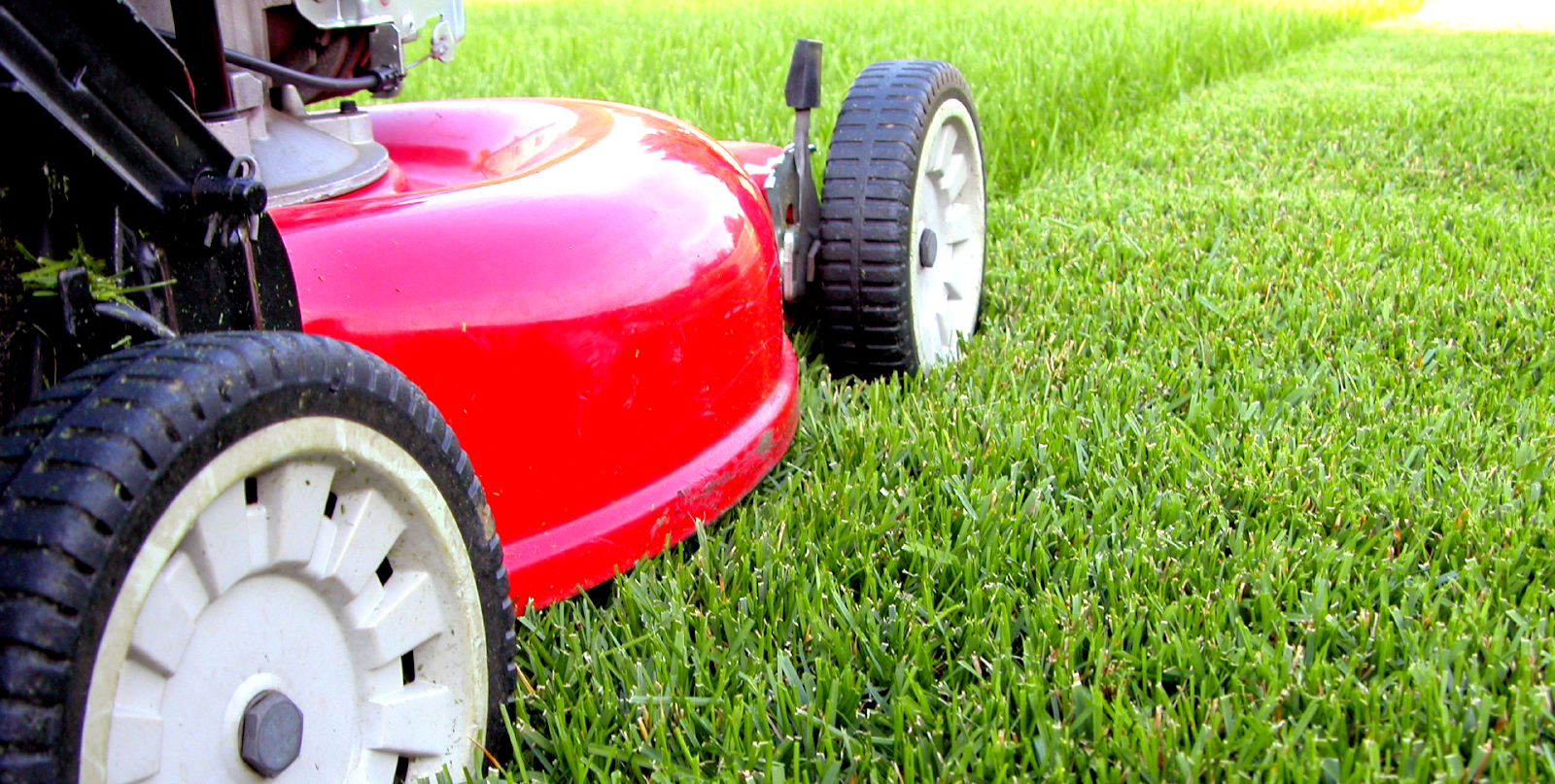 5 Lawn Care Mistakes That Can Ruin Your Yard in Eagan