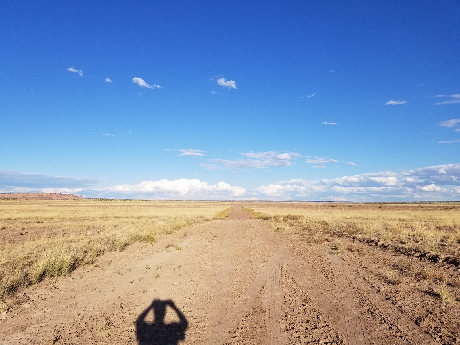 Apache County, Arizona Land 40 Acres | Western Land Company