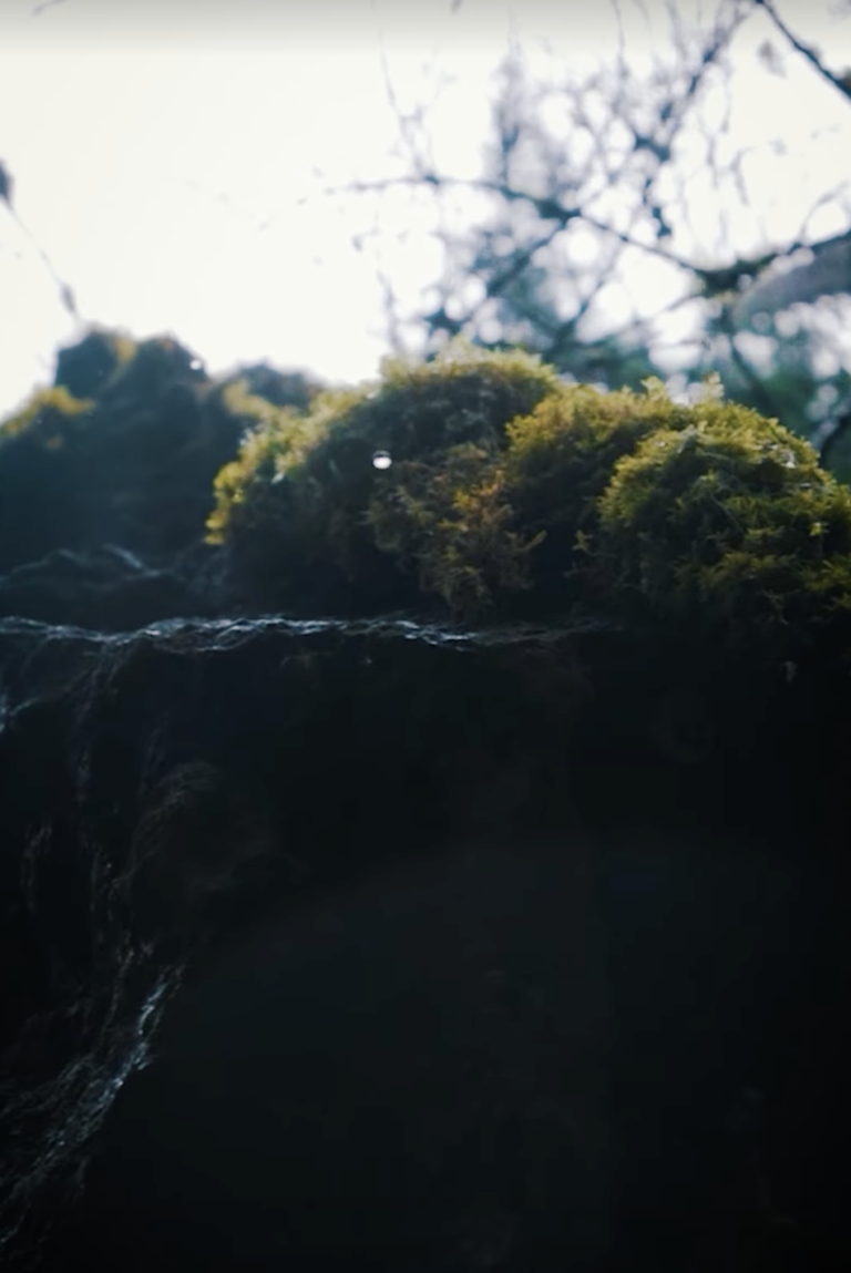 Roseburg Oregon Weather Year Round | Seasonal Guide To Weather In ...