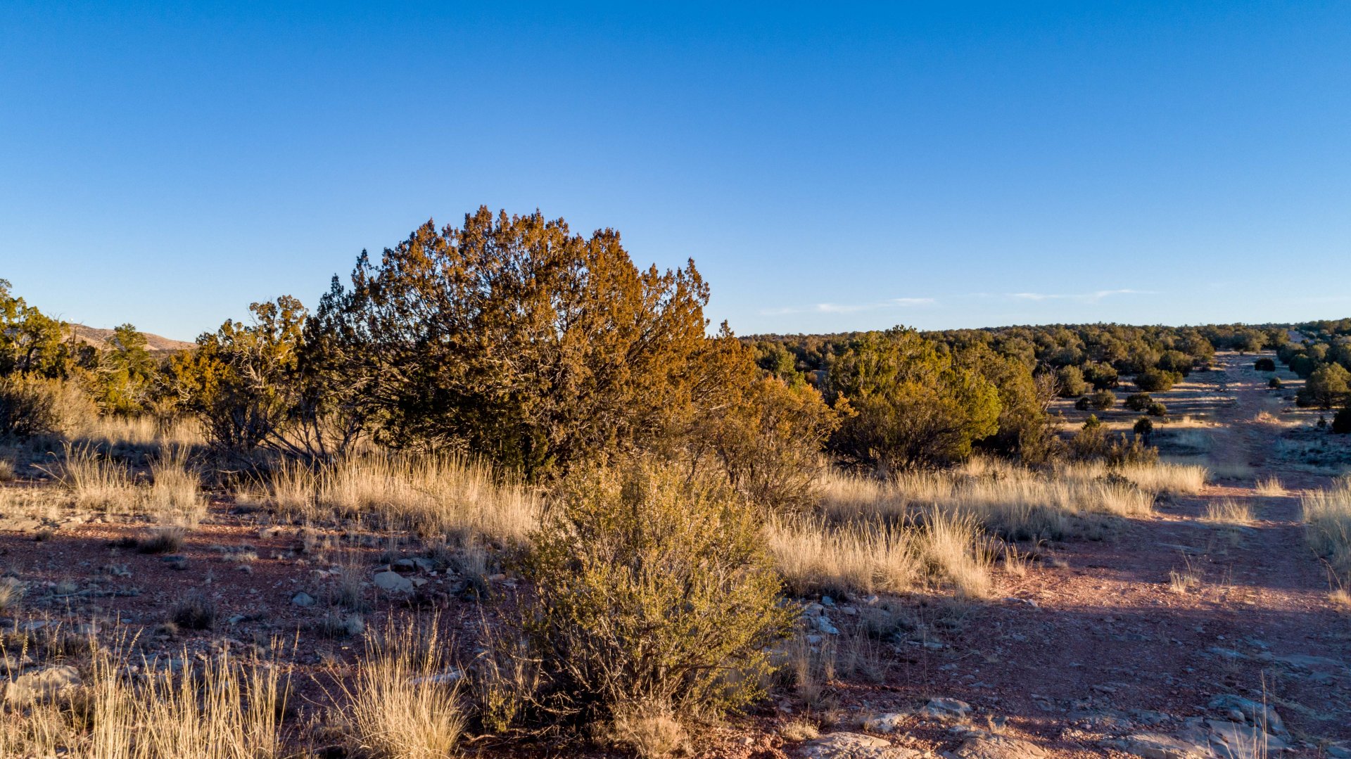 Explore Affordable Land for Sale in Arizona - Your Gateway to ...