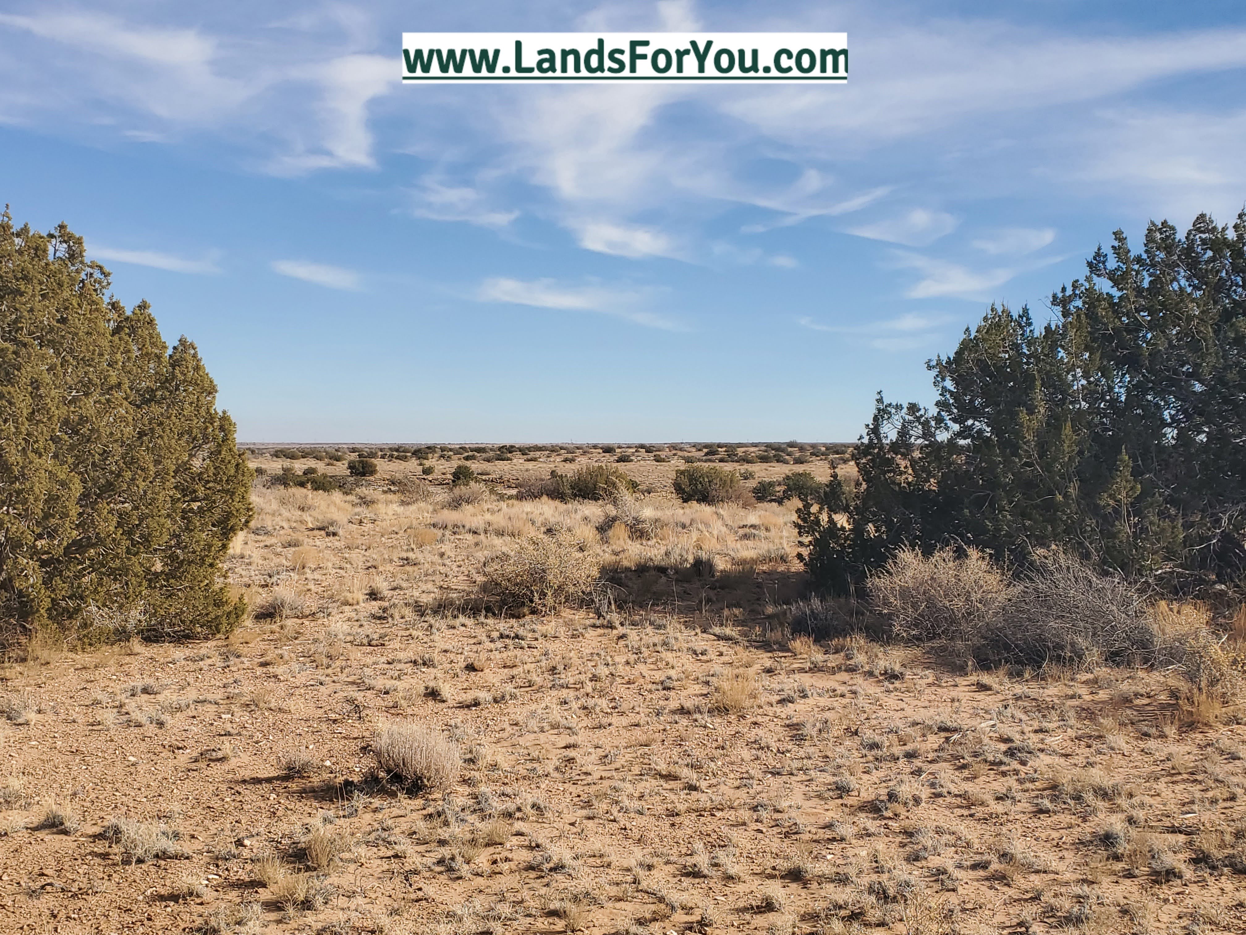 Why You Should Consider Buying Land in Apache County, Arizona | Lands ...