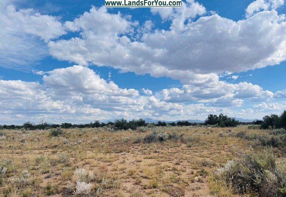 Arizona Land Buying Guide: Phoenix vs Rural Areas