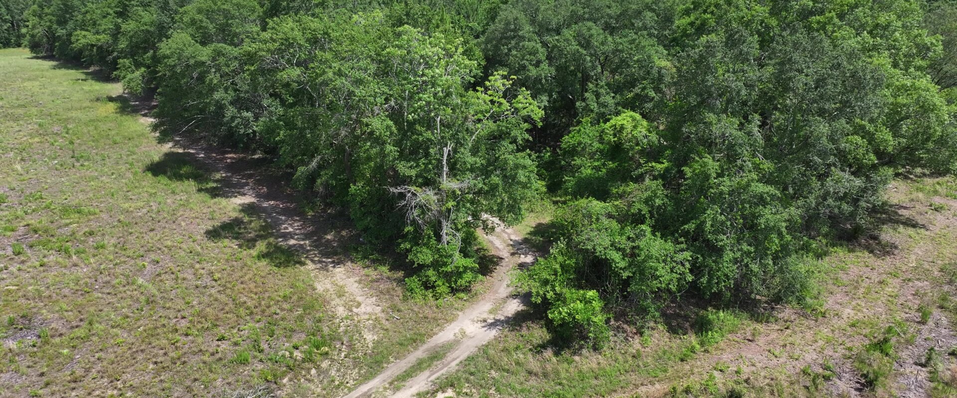 WAYNE COUNTY, GA | 11.4 acres w/Workshop | Private Driveway | Clearings ...