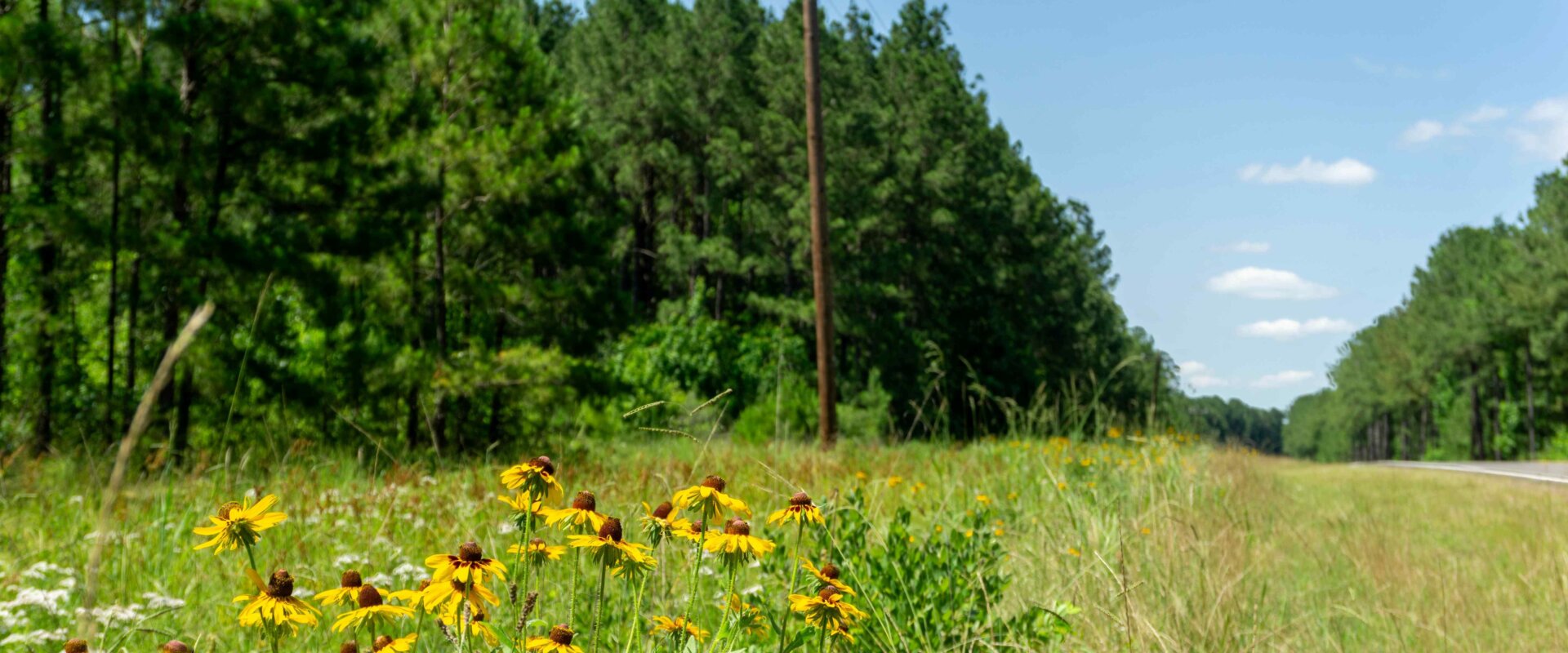 SABINE PARISH, LA | 12 acres | Only 4 mins to the Lake! | Cleared ...