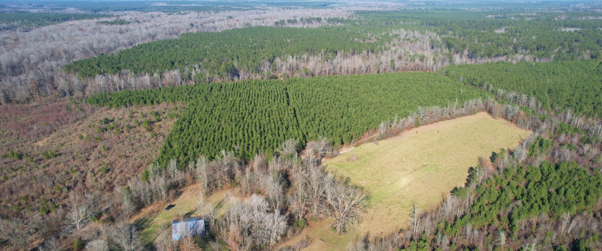CLEVELAND COUNTY, AR | 5.75 acres | No Restrictions! | New Road | Power ...