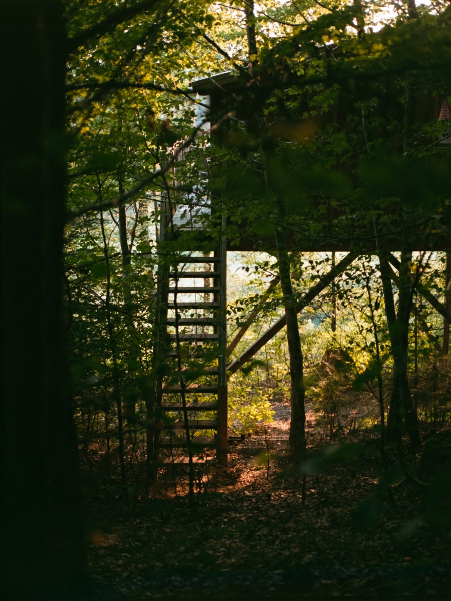 44 Unique and Creative Ways You Can Use Land