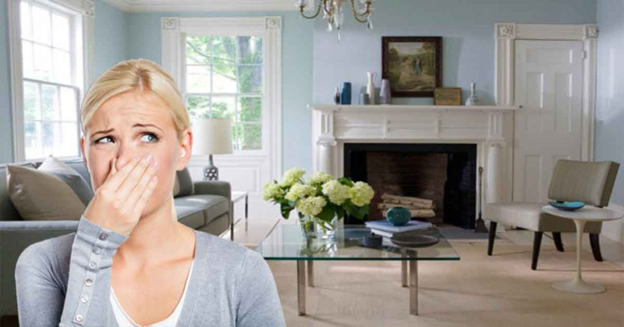Are you dealing with some funky smells in an Orlando house that you ...
