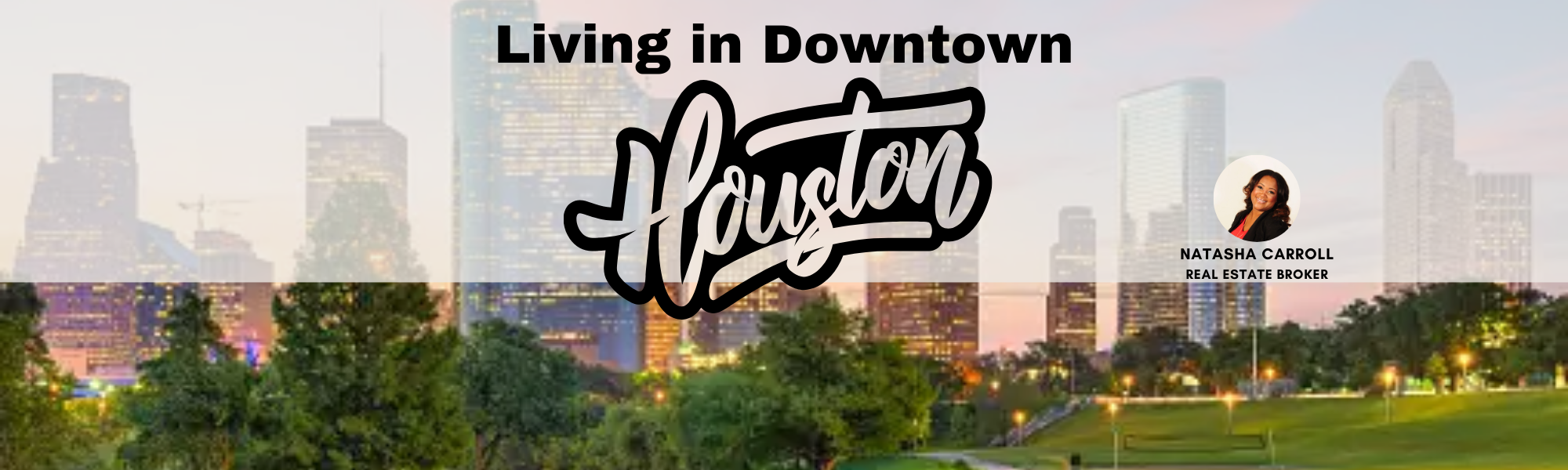 Houston Downtown Living: Embracing the Heartbeat of the City | Natasha ...