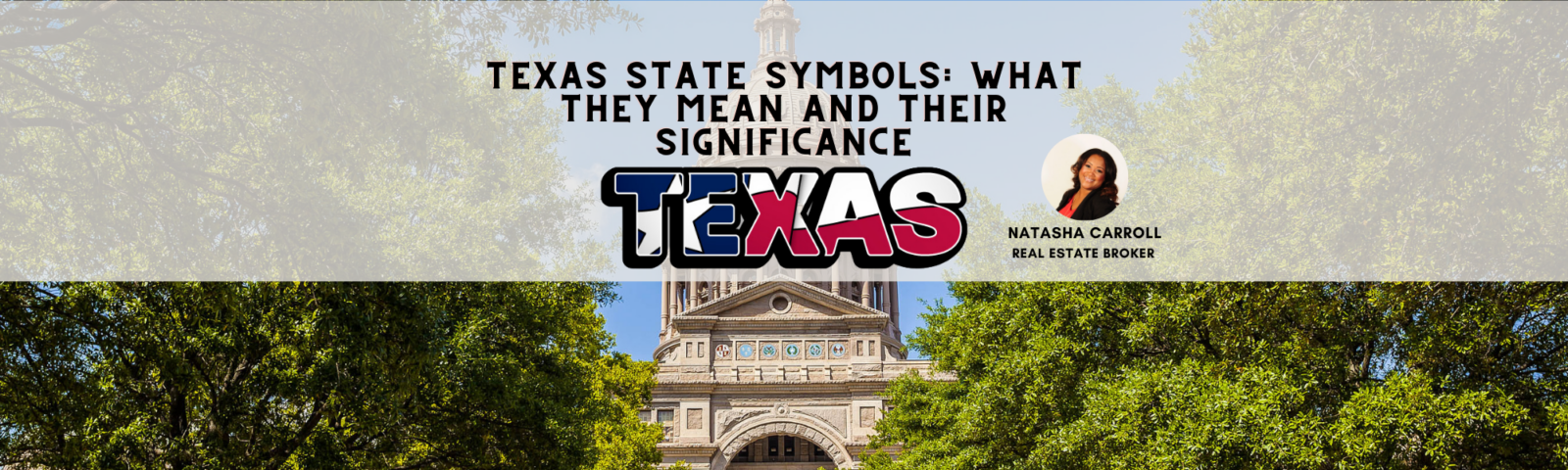 Texas State Symbols: What They Mean and Their Significance | Natasha ...