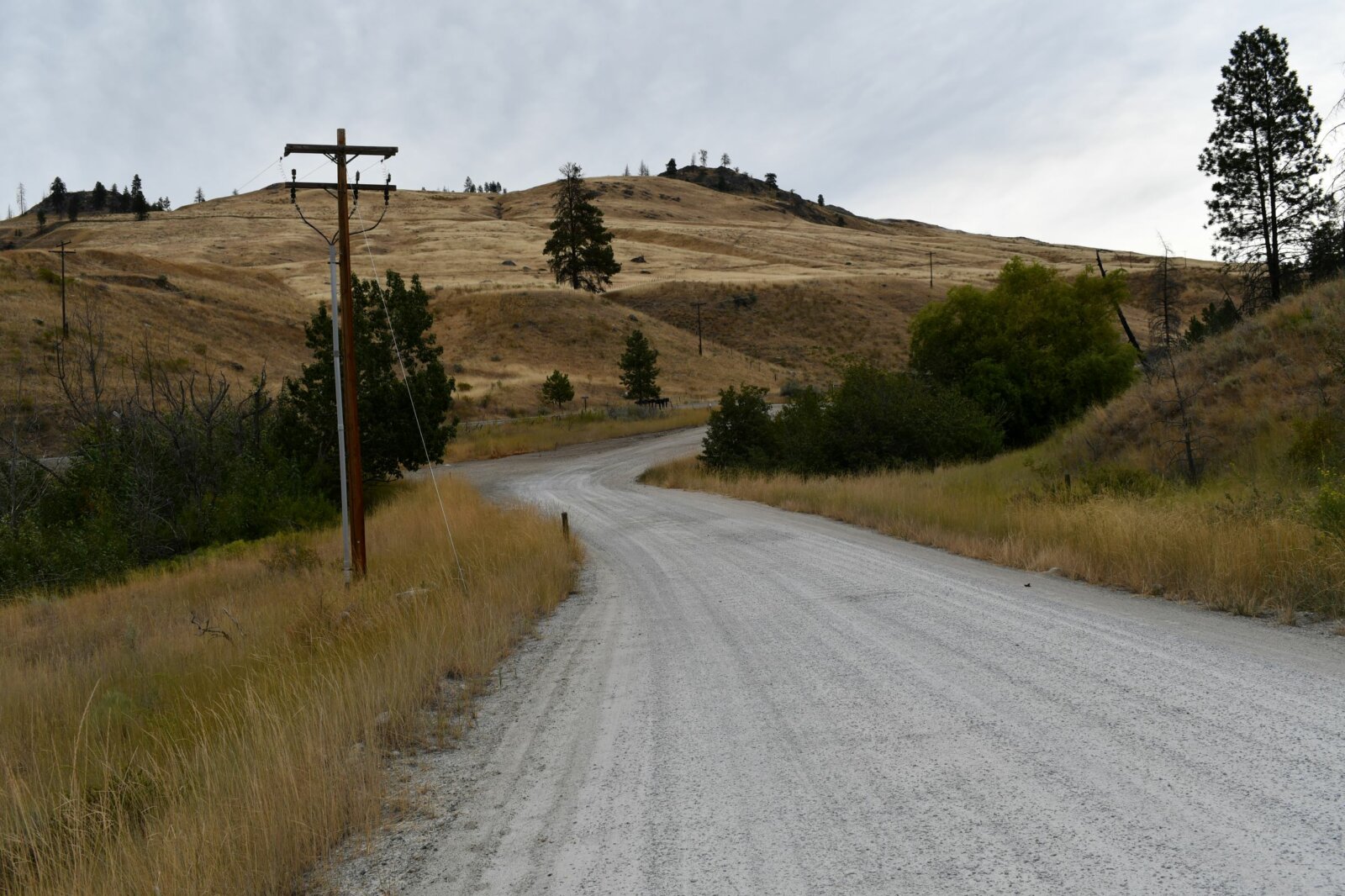 🎃 Behind the Land Deal: Beware the Spooky Land Investors – What to ...