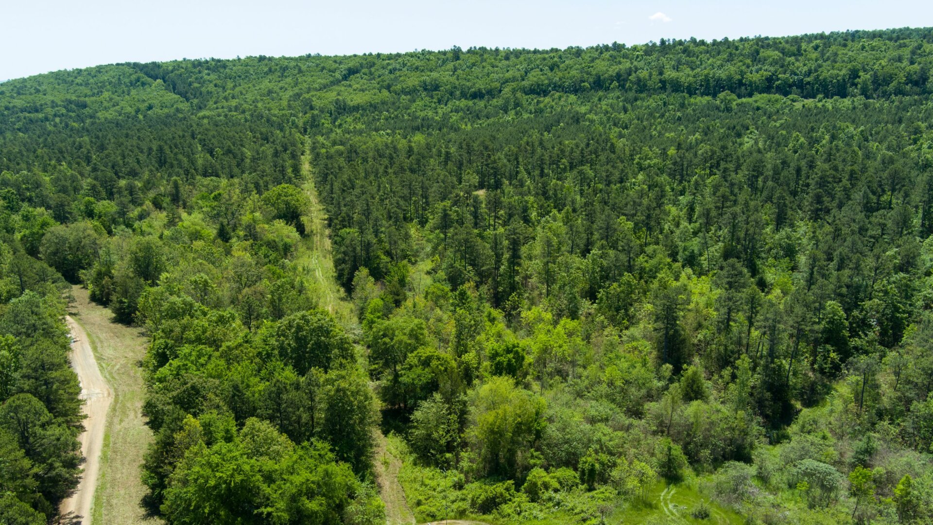 What Does it Mean to Have Undivided Interest in Your Land and Can You ...