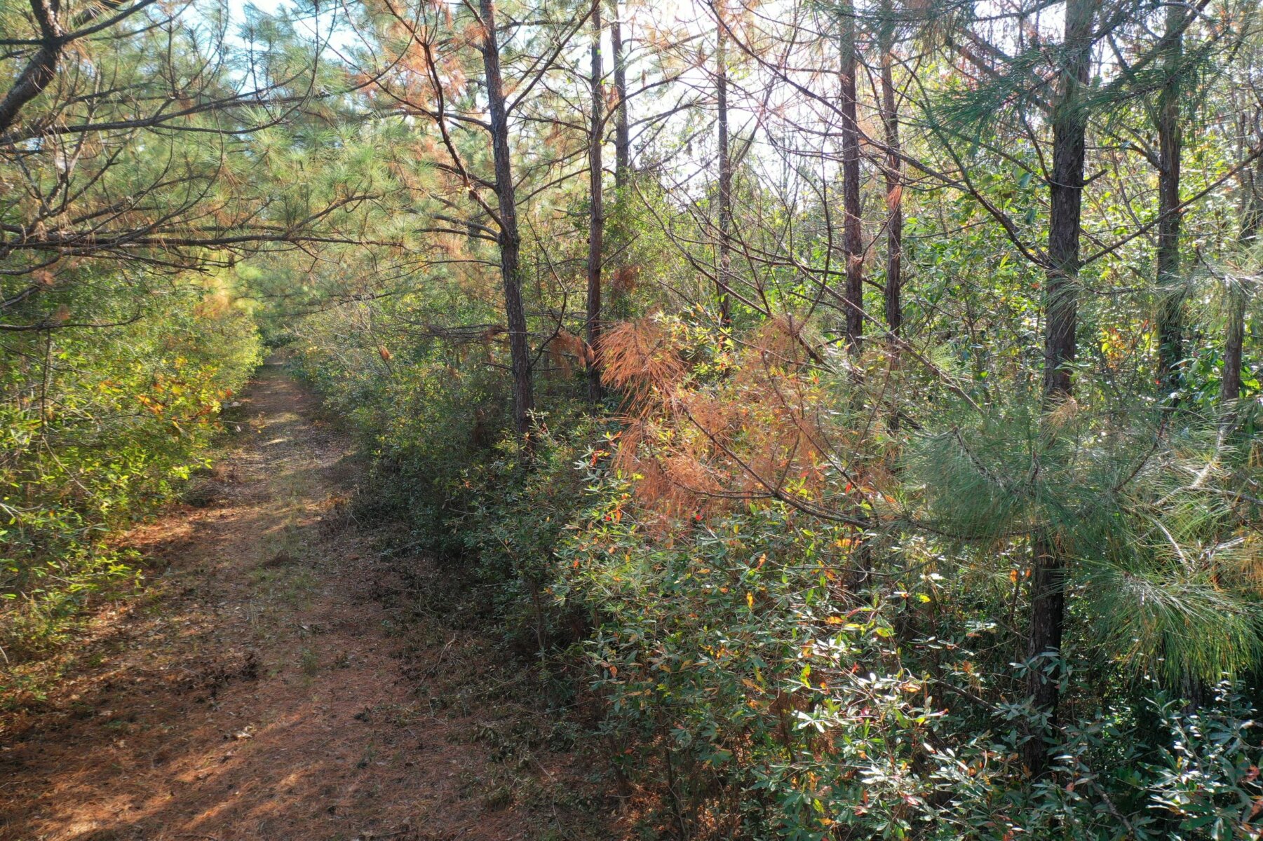 What Does it Mean to Have Undivided Interest in Your Land and Can You ...