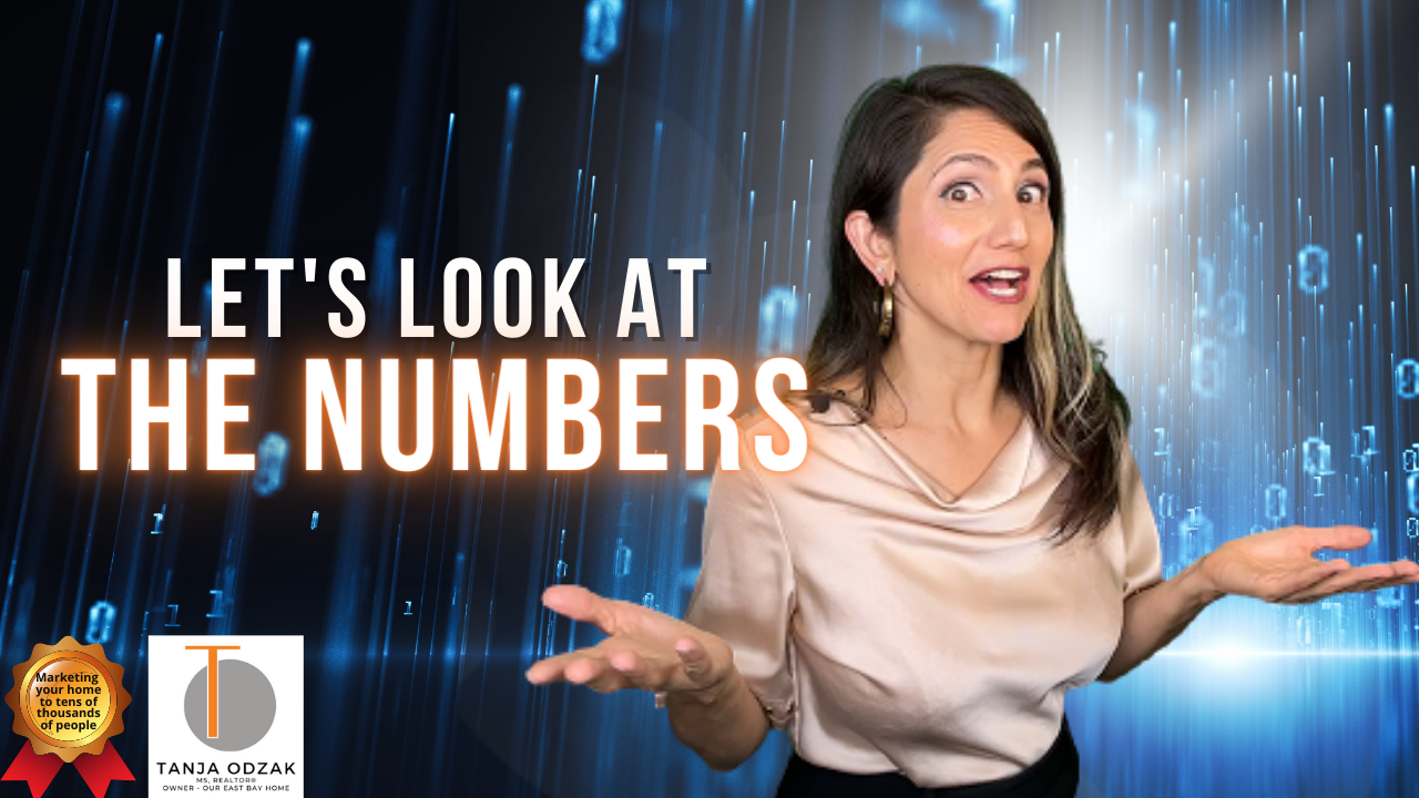 Let’s Look at the Numbers | Tanja Odzak-Goppold