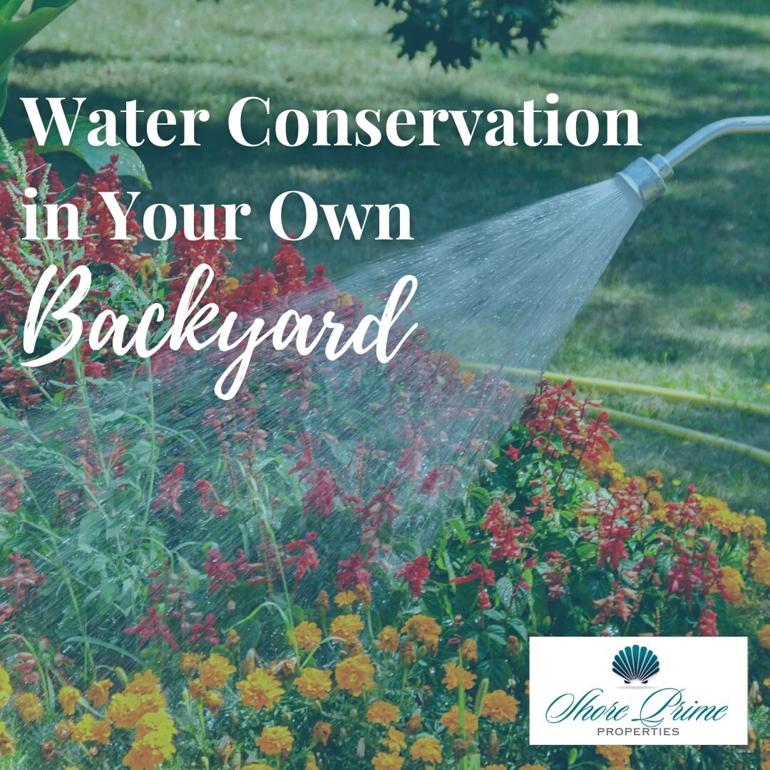 💦 Water Conservation In Your Own Backyard | Shore Prime Properties