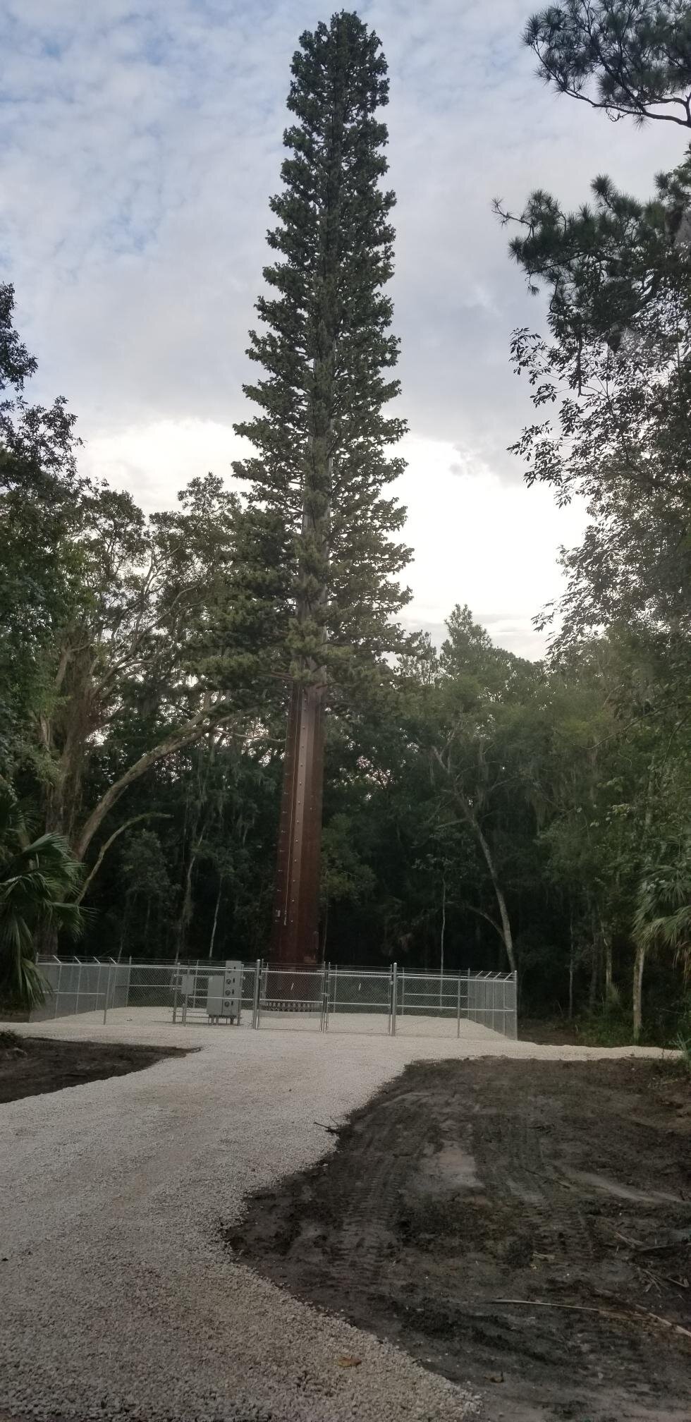 What is a Cell Site? Why cell sites are essential.