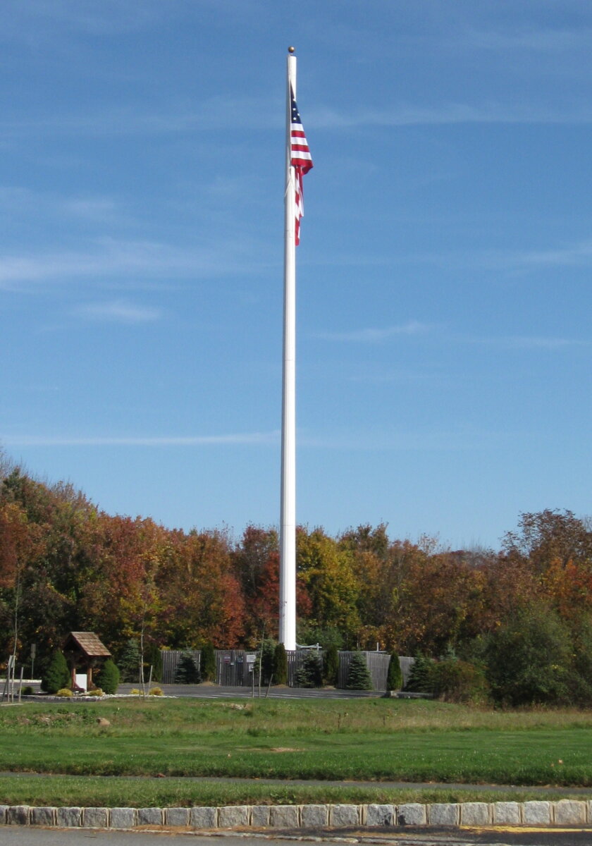 What is a Cell Site? Why cell sites are essential.