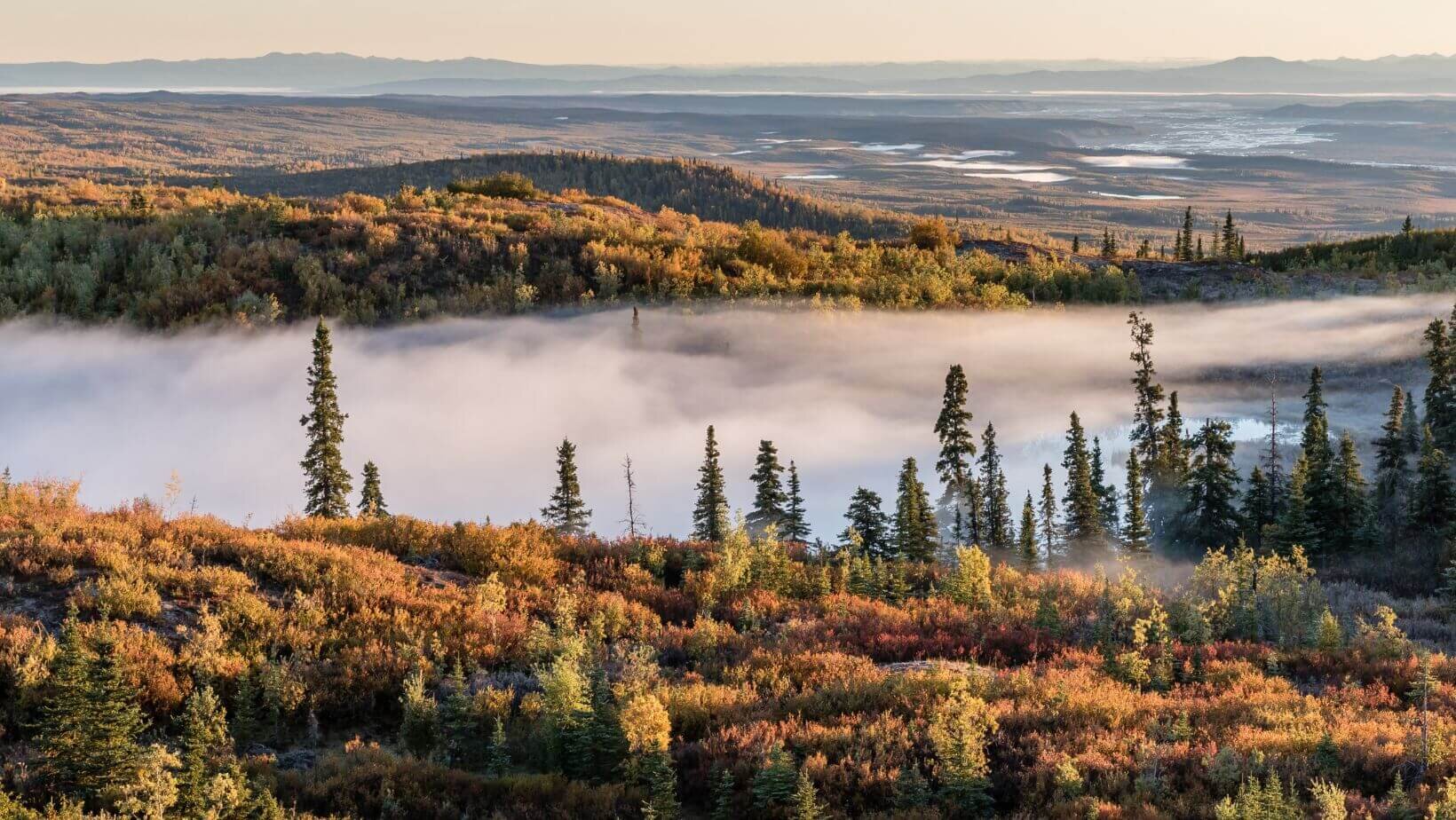 Sell Alaska Land Fast | We Buy Land In Cash