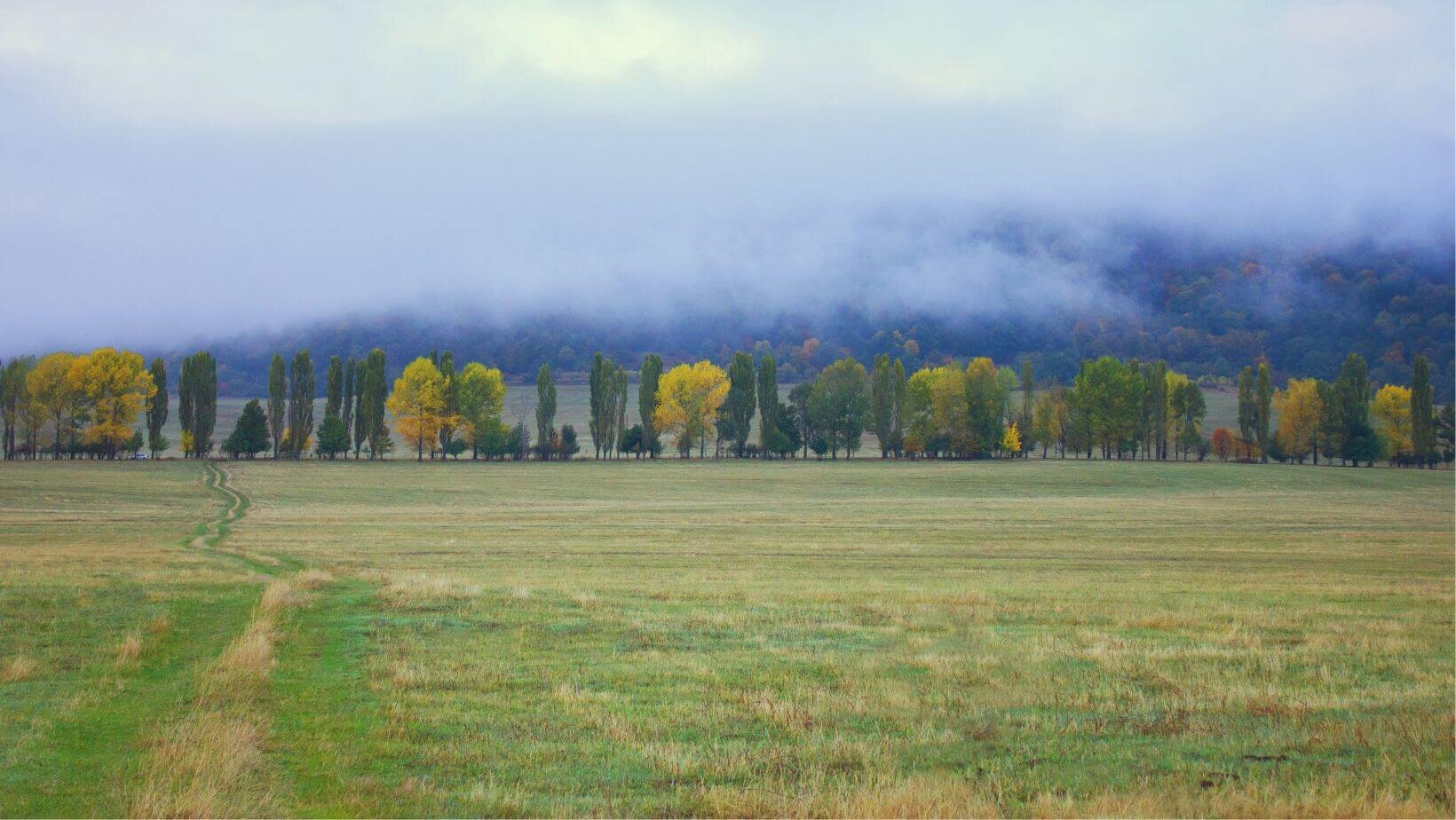 How Much Is My West Virginia Land Worth? | Value Land Buyers