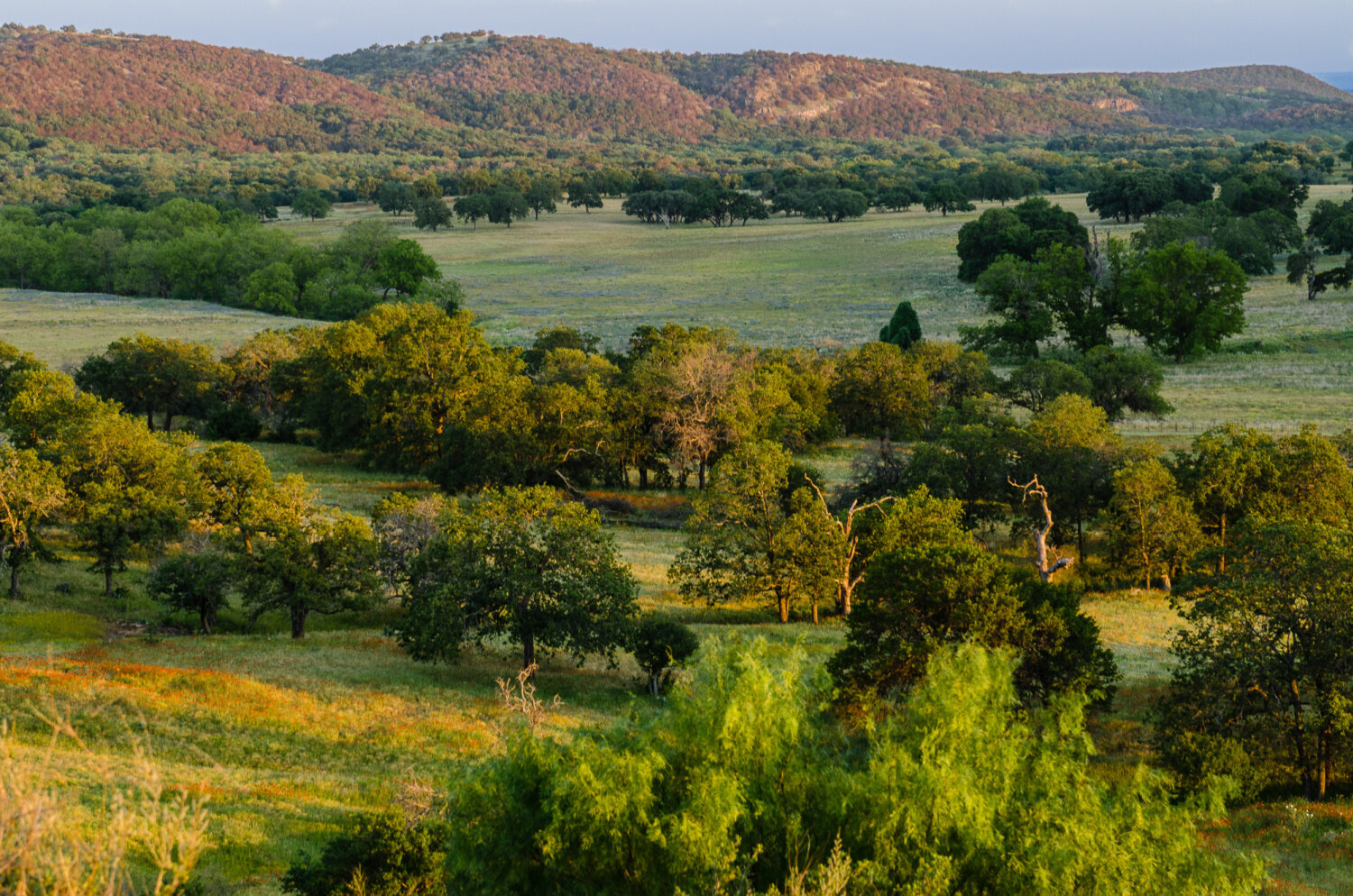 We Buy Land In Texas [Sell Your Land Fast For Cash]