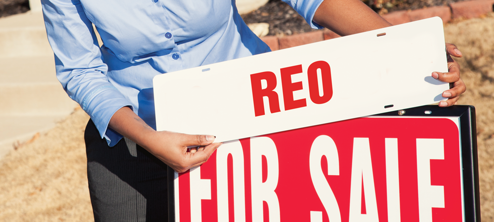 IS THE REO REAL ESTATE INVENTORY FINISHED IN TAMPA, FLORIDA? | Tampa ...
