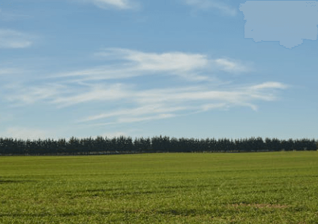How Big is 10 Acres? Visualizing the Space for Land Investors