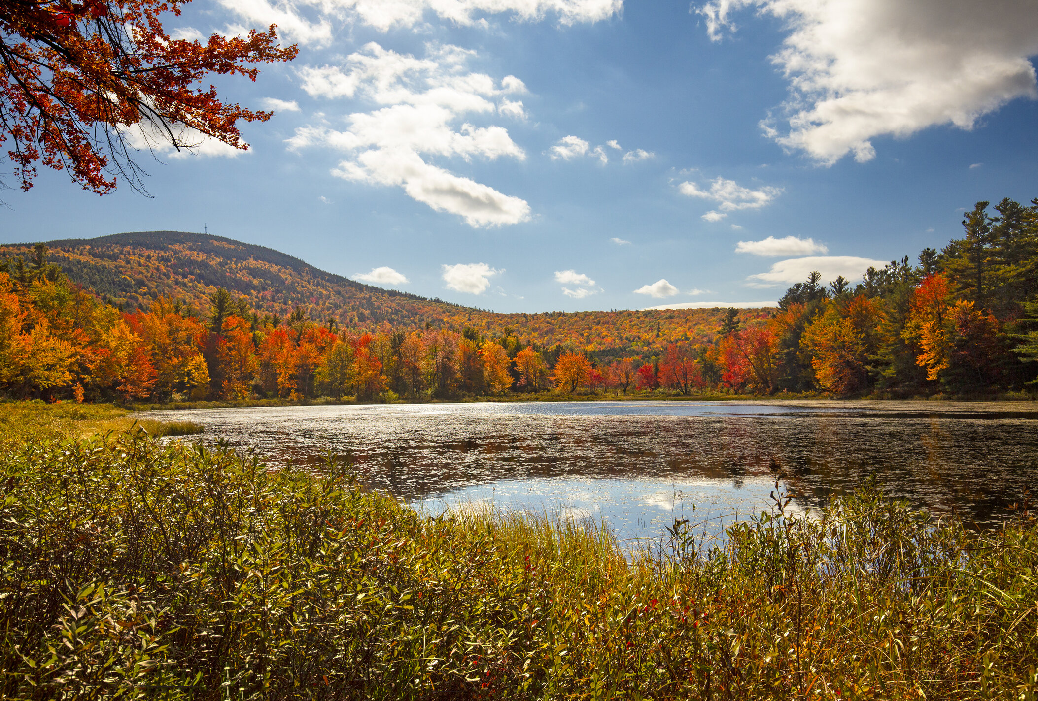 Brendan Callahan Brendan Callahan Realtor – Susan Cole Realty Group ...