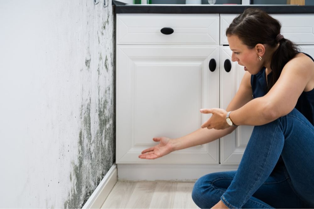 How To Successfully Sell A Mobile Home With Mold Issues In Texas ...